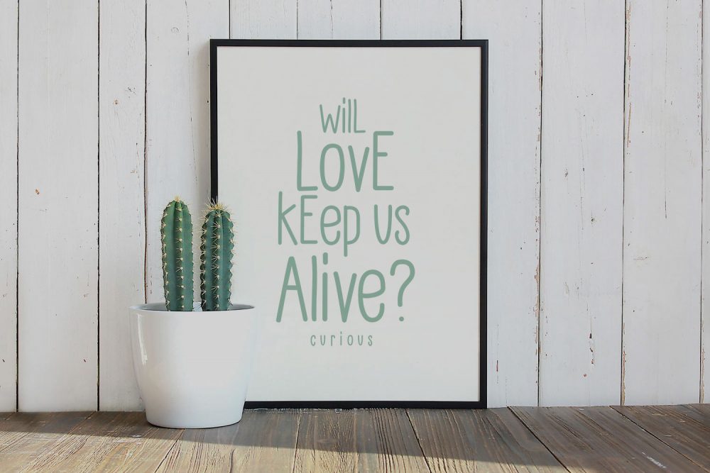 Creative Media Lab Type Foundry