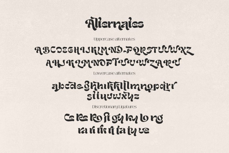 Reggy - Creative Media Lab