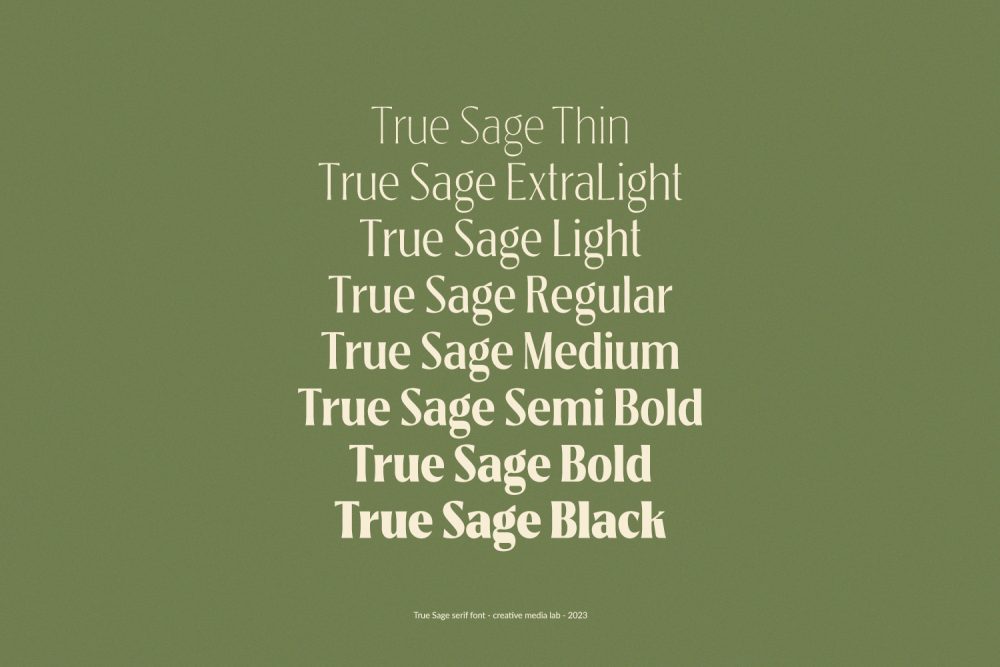 True Sage - Creative Media Lab