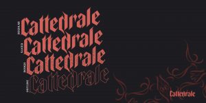 Cattedrale - Creative Media Lab